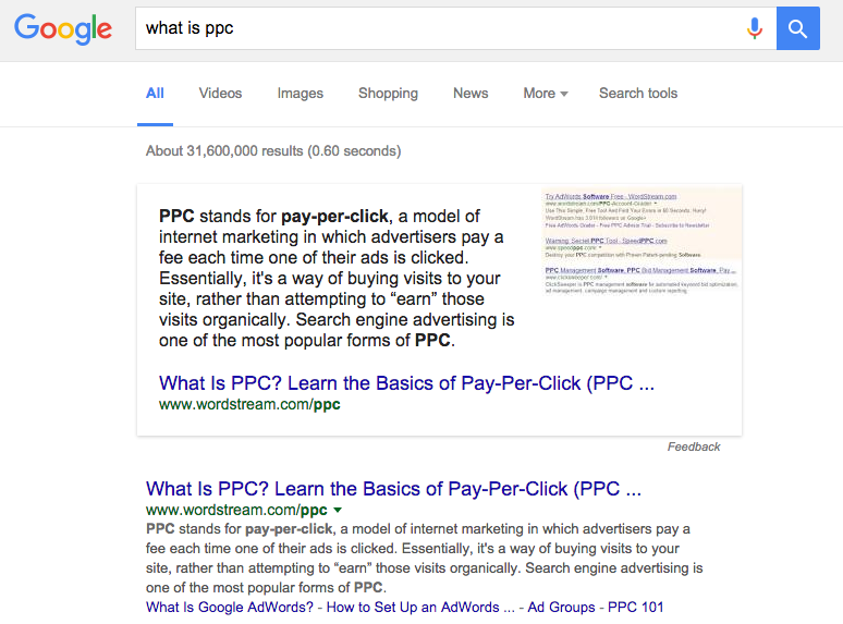 Everything You Need to Know About the Knowledge Graph
